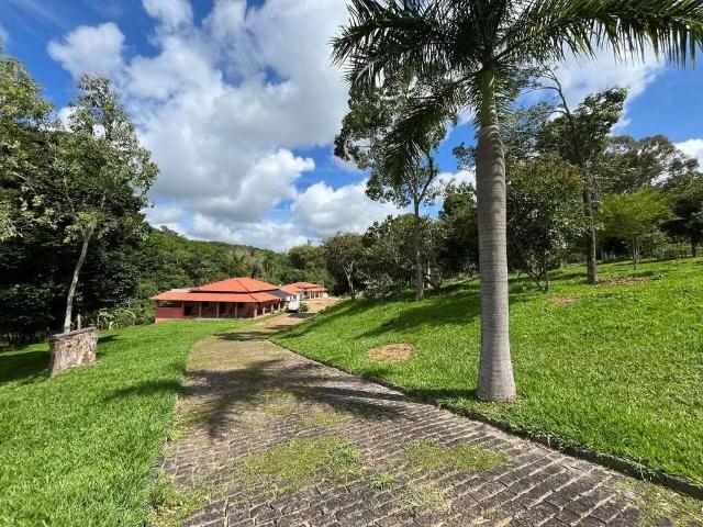 Sítio / Chácara para Venda em Santo Antônio dos Campos/MG Lagoa 4 Quartos