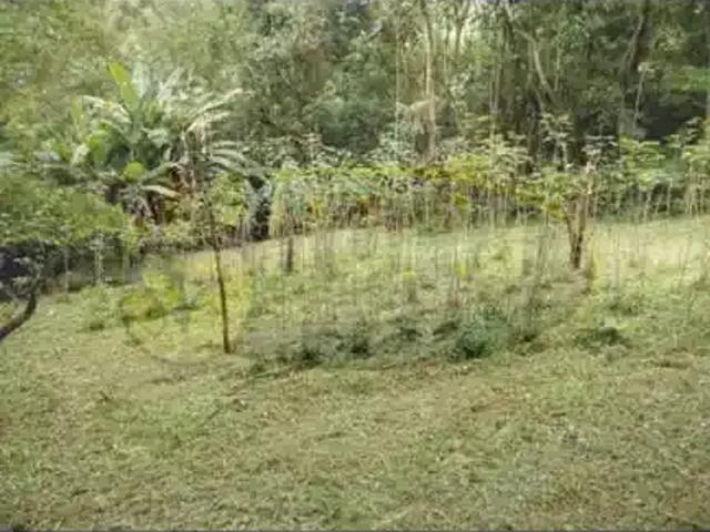 Sítio / Chácara para Venda em Santo André/SP Jardim Guaripocaba 3 Quartos