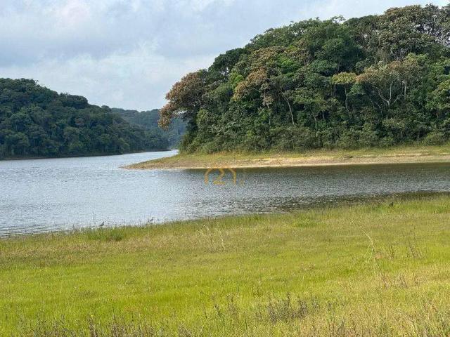 Sítio / Chácara para Venda em Santo André/SP Parque das Garças 3 Quartos