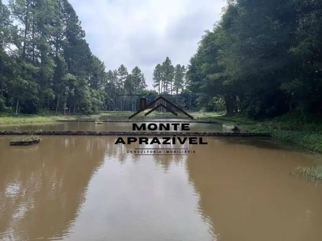 Sítio / Chácara para Venda em Santo André/SP Parque Represa Billings III
