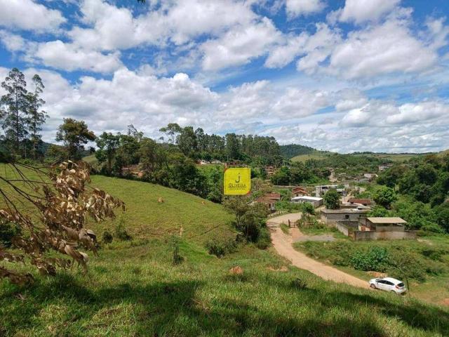 Sítio / Chácara para Venda em Santos Dumont/MG Zona Rural