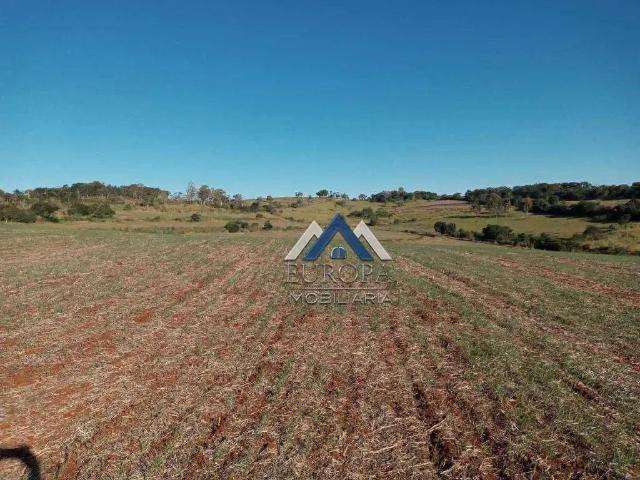 Sítio / Chácara para Venda em Santa Cecília do Pavão/PR Zona Rural