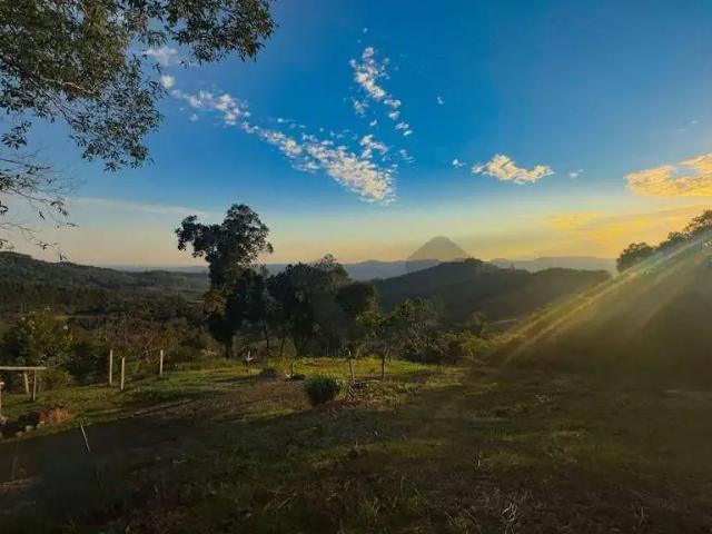 Sítio / Chácara para Venda em Santa Cruz do Sul/RS Área Rural de Santa Cruz do Sul