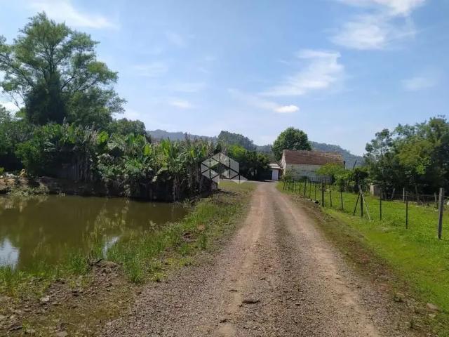 Sítio / Chácara para Venda em Santa Cruz do Sul/RS Renascença