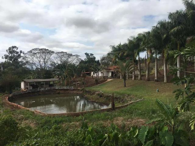 Sítio / Chácara para Venda em Santa Amélia/PR Santa Amélia 3 Quartos