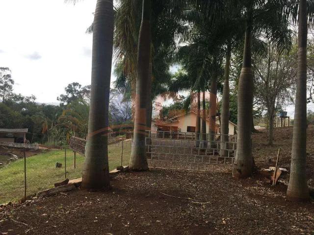 Sítio / Chácara para Venda em Santa Amélia/PR Centro 4 Quartos