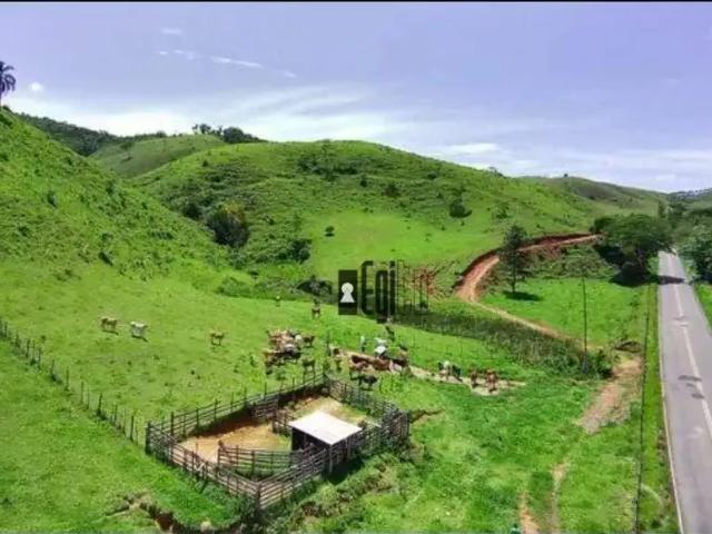 Sítio / Chácara para Venda em Santa Bárbara do Monte Verde/MG Centro