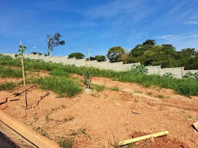 Sítio / Chácara para Venda em Santa Bárbara D'Oeste/SP Vila Romi