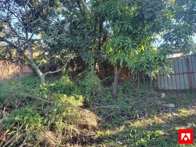 Sítio / Chácara para Venda em Santa Bárbara D'Oeste/SP Chácara Recreio Cruzeiro do Sul 1 Quartos