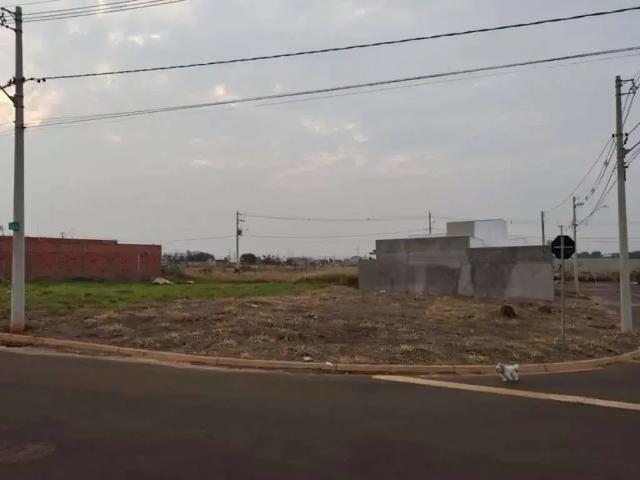 Sítio / Chácara para Venda em Santa Bárbara D'Oeste/SP Jardim Itapuã