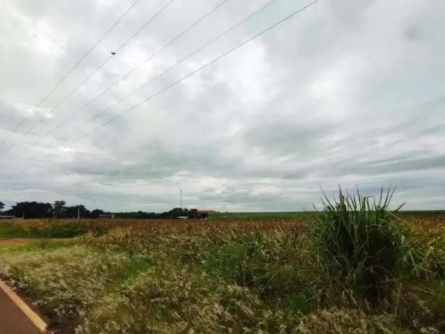 Sítio / Chácara para Venda em Santa Bárbara D'Oeste/SP Recanto das Andorinhas