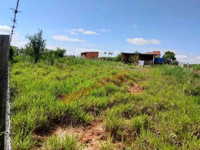 Sítio / Chácara para Venda em Santa Bárbara D'Oeste/SP Santo Antonio Sapezeiro