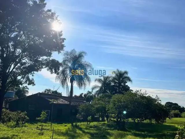Sítio / Chácara para Venda em Santa Bárbara D'Oeste/SP Santo Antonio Sapezeiro 3 Quartos