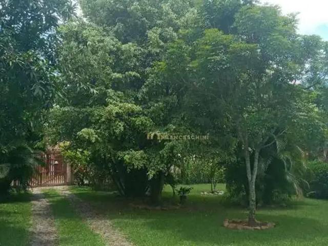 Sítio / Chácara para Venda em Santa Branca/SP Centro 2 Quartos