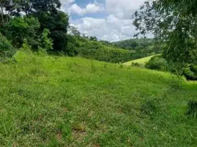 Sítio / Chácara para Venda em Santa Branca/SP Zona Rural