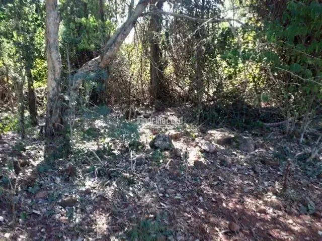 Sítio / Chácara para Venda em Santa Helena/PR Zona Rural
