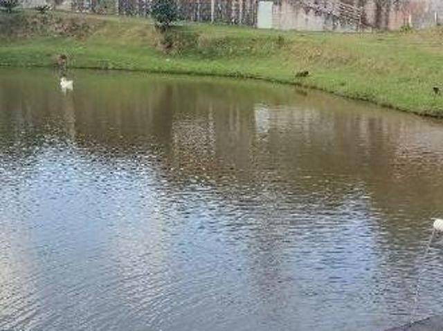 Sítio / Chácara para Venda em Santa Isabel, Pedra Branca, 3 dormitórios, 1 suíte, 2 banheiros