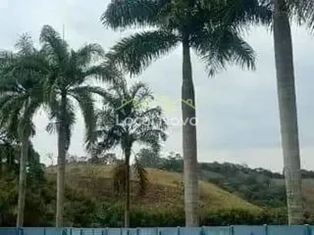 Sítio / Chácara para Venda em Santa Isabel/SP Cachoeira