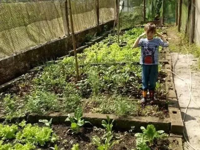 Sítio / Chácara para Venda em Santa Isabel/SP Centro 6 Quartos