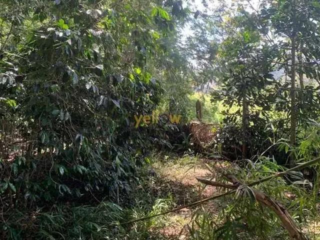 Sítio / Chácara para Venda em Santa Isabel/SP Chácaras Reunidas Canadá 4 Quartos