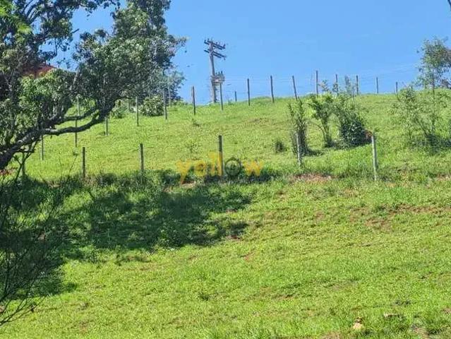 Sítio / Chácara para Venda em Santa Isabel/SP Jardim Monte Serrat