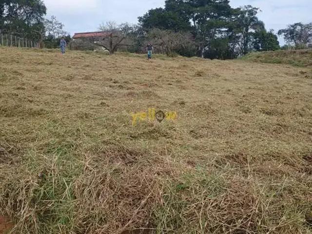 Sítio / Chácara para Venda em Santa Isabel/SP Ouro Fino
