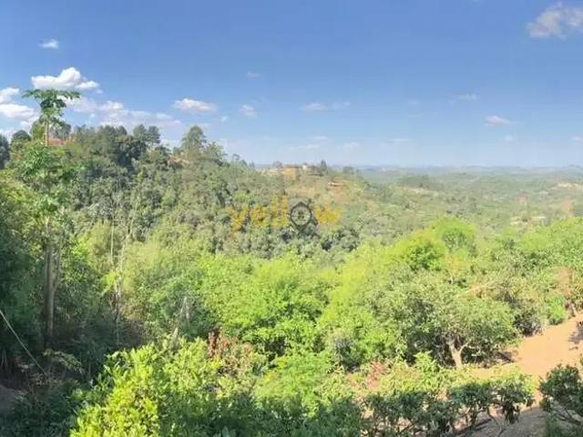 Sítio / Chácara para Venda em Santa Isabel/SP São Domingos 3 Quartos