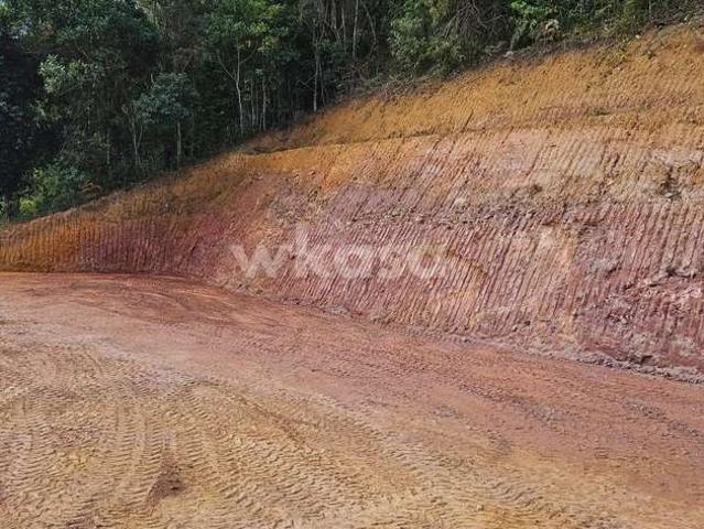 Sítio / Chácara para Venda em Santa Leopoldina/ES Mangaraí