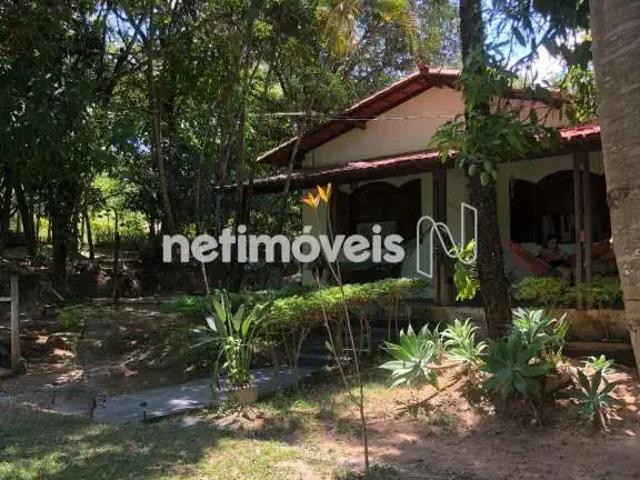 Sítio / Chácara para Venda em Santa Luzia/MG Comunidade Sítio Teresópolis 3 Quartos