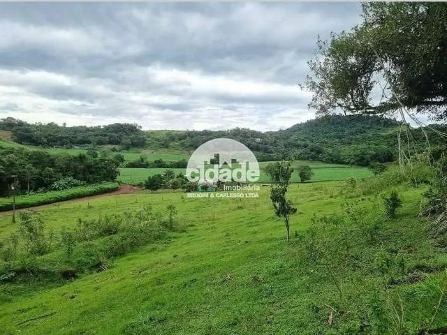 Sítio / Chácara para Venda em Santa Lúcia/PR Área Rural de Santa Lúcia 2 Quartos