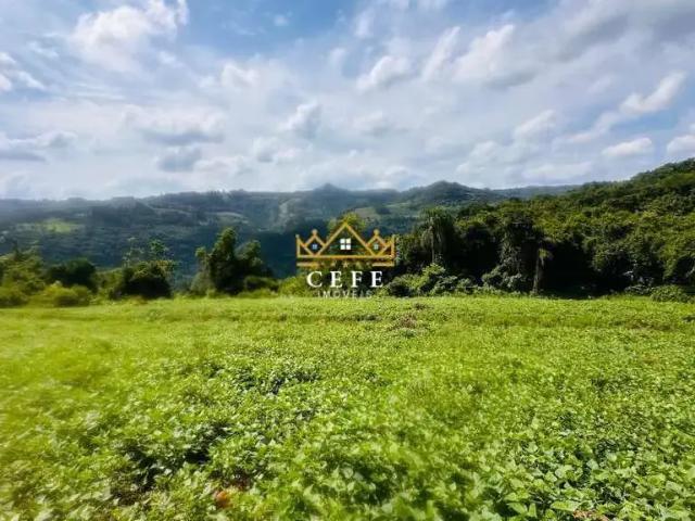 Sítio / Chácara para Venda em Santa Maria do Herval/RS Boa Vista do Herval