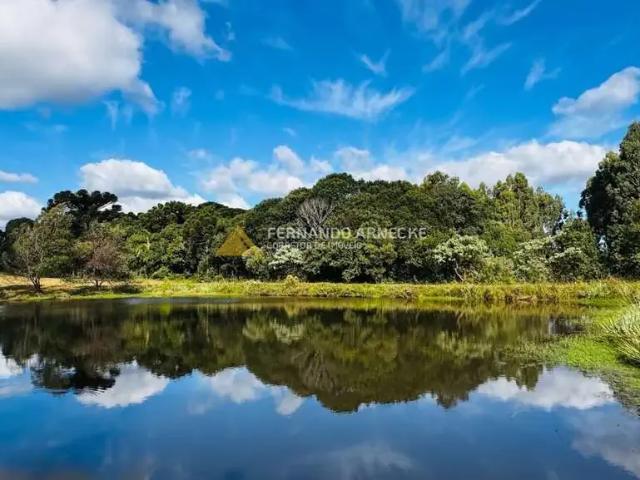 Sítio / Chácara para Venda em Santa Maria do Herval/RS Boa Vista do Herval 5 Quartos