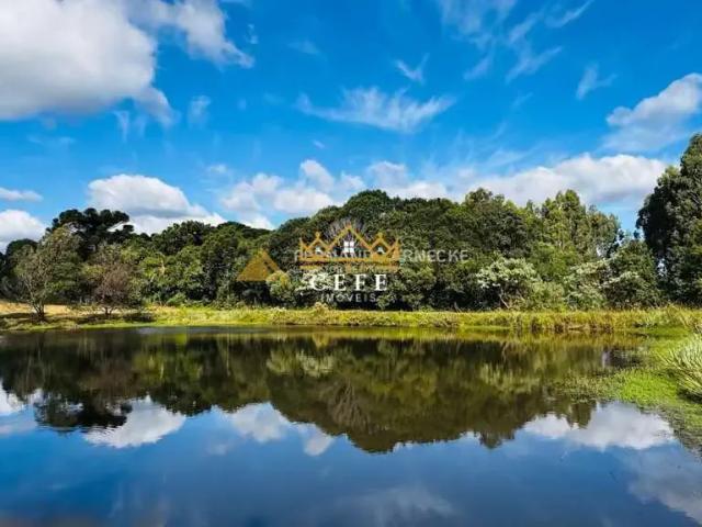Sítio / Chácara para Venda em Santa Maria do Herval/RS Boa Vista do Herval 5 Quartos