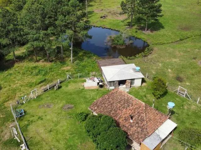 Sítio / Chácara para Venda em Santa Maria do Herval/RS Boa Vista do Herval 2 Quartos