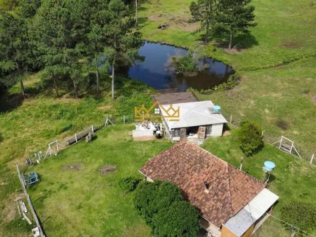 Sítio / Chácara para Venda em Santa Maria do Herval/RS Boa Vista do Herval 2 Quartos