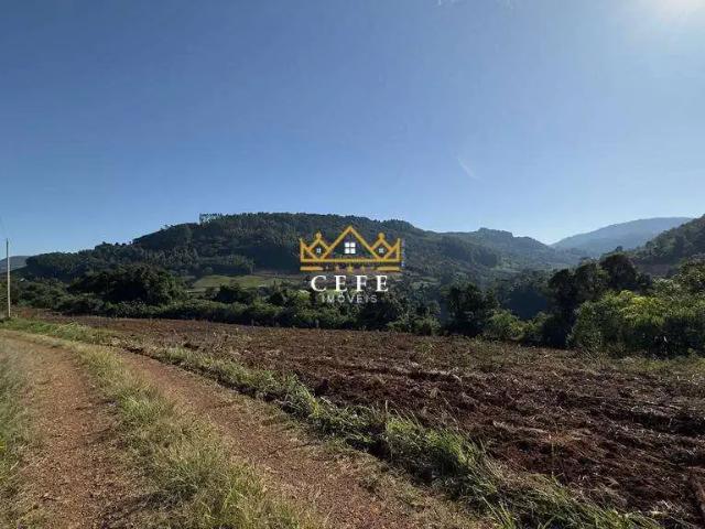 Sítio / Chácara para Venda em Santa Maria do Herval/RS Linha Marcondes