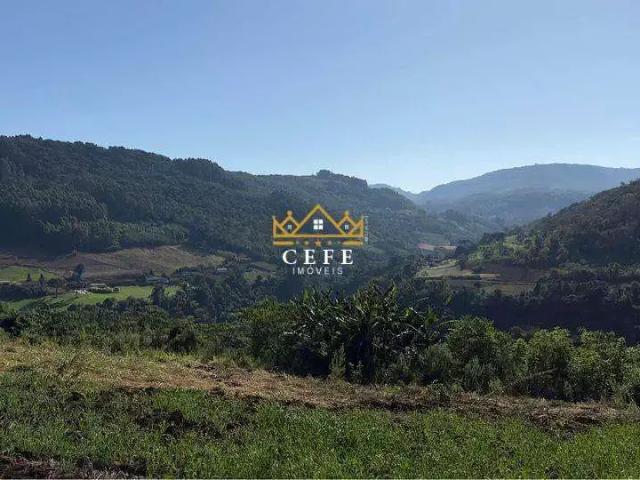 Sítio / Chácara para Venda em Santa Maria do Herval/RS Linha Marcondes
