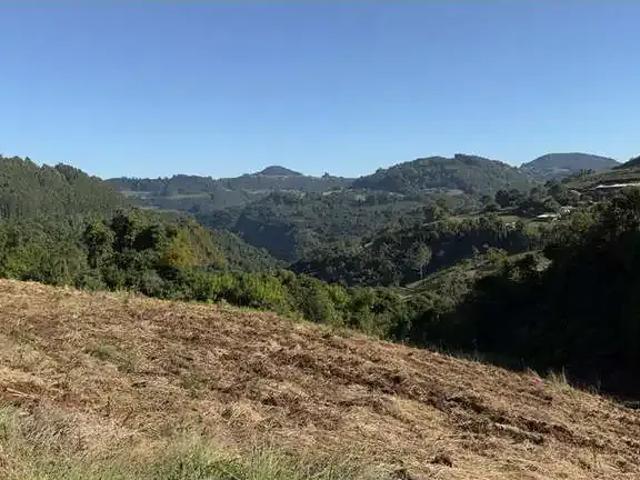 Sítio / Chácara para Venda em Santa Maria do Herval/RS Linha Marcondes