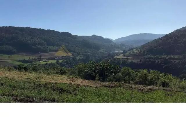 Sítio / Chácara para Venda em Santa Maria do Herval/RS Linha Marcondes