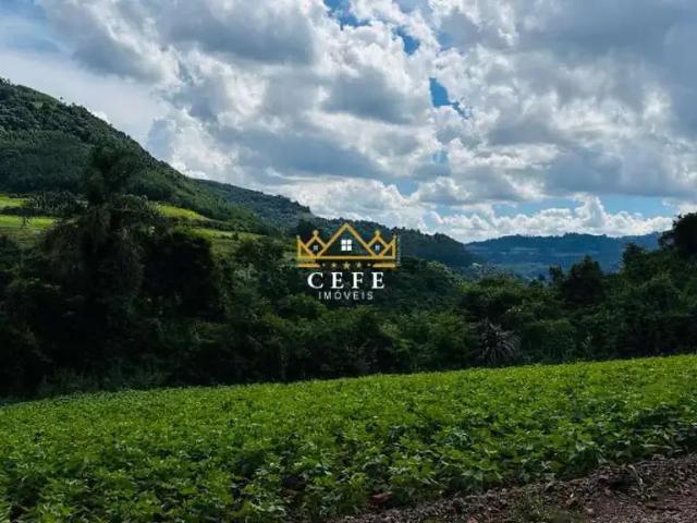 Sítio / Chácara para Venda em Santa Maria do Herval/RS Linha Marcondes