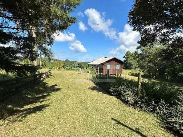 Sítio / Chácara para Venda em Santa Maria do Herval/RS Nova Renania 6 Quartos