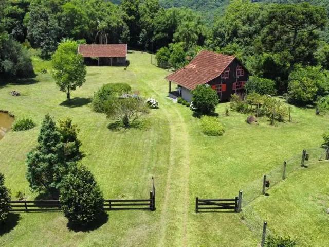 Sítio / Chácara para Venda em Santa Maria do Herval/RS Nova Renania 6 Quartos