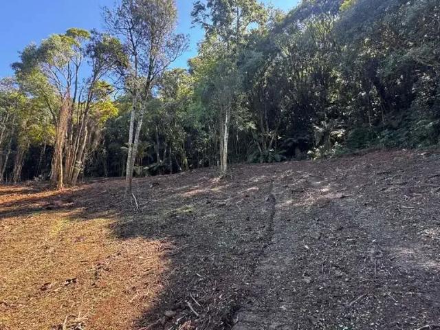 Sítio / Chácara para Venda em Santa Maria do Herval/RS Padre Eterno Alto