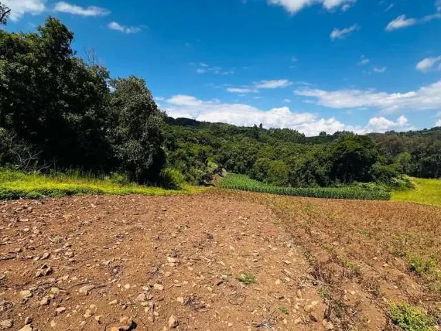 Sítio / Chácara para Venda em Santa Maria do Herval/RS Padre Eterno Alto 2 Quartos