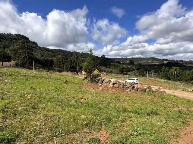 Sítio / Chácara para Venda em Santa Maria do Herval/RS Padre Eterno Alto