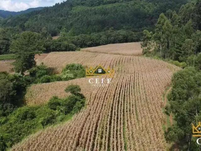 Sítio / Chácara para Venda em Santa Maria do Herval/RS Padre Eterno Baixo