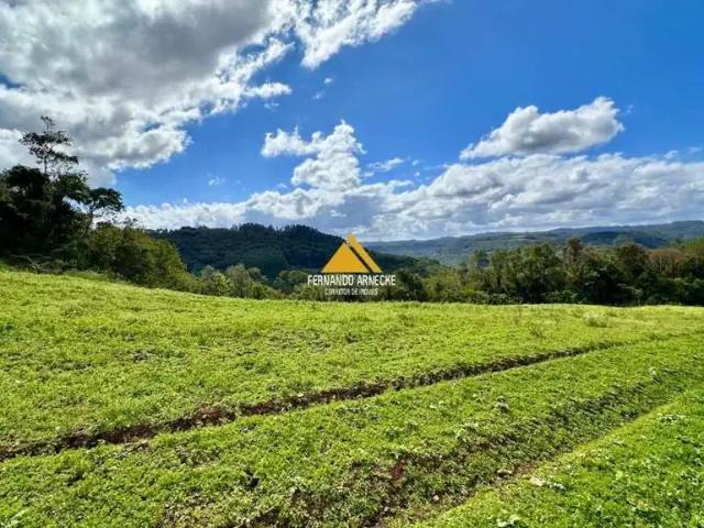 Sítio / Chácara para Venda em Santa Maria do Herval/RS Padre Eterno Ilges