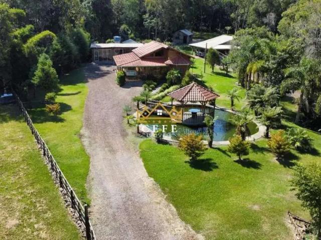 Sítio / Chácara para Venda em Santa Maria do Herval/RS Zona Rural 4 Quartos