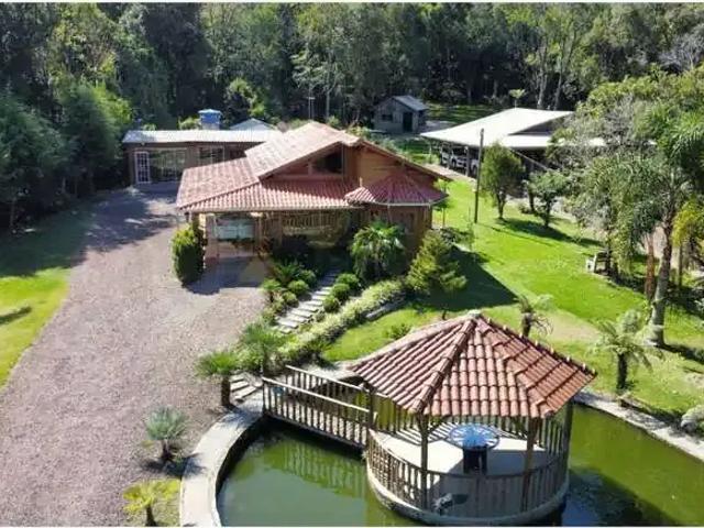 Sítio / Chácara para Venda em Santa Maria do Herval/RS Zona Rural 4 Quartos