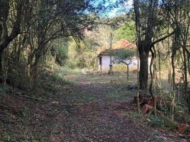 Sítio / Chácara para Venda em Santa Maria/RS Zona Rural
